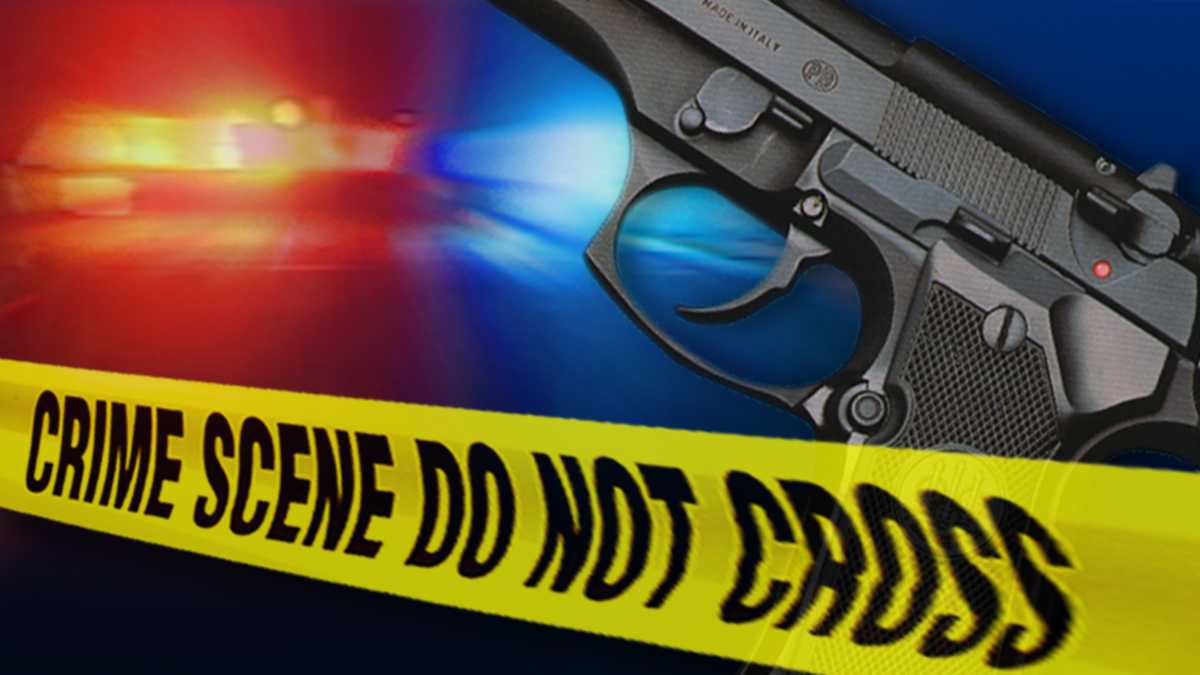 Effingham County deputies: 2 dead in Rincon murder-suicide