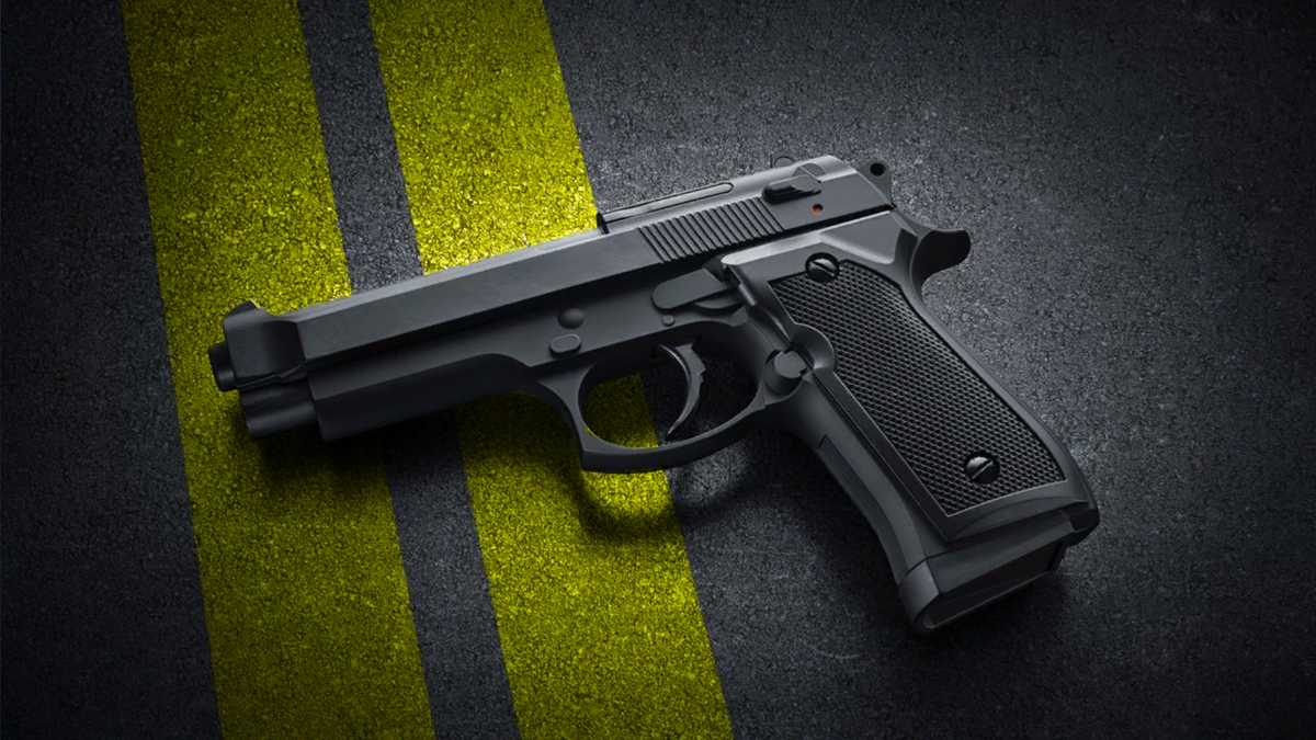 Florida lawmakers propose bill to carry concealed weapons without permit