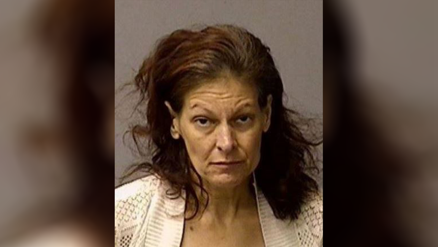 PD: Modesto mom left son, 39 cats in moving van on 100-degree day