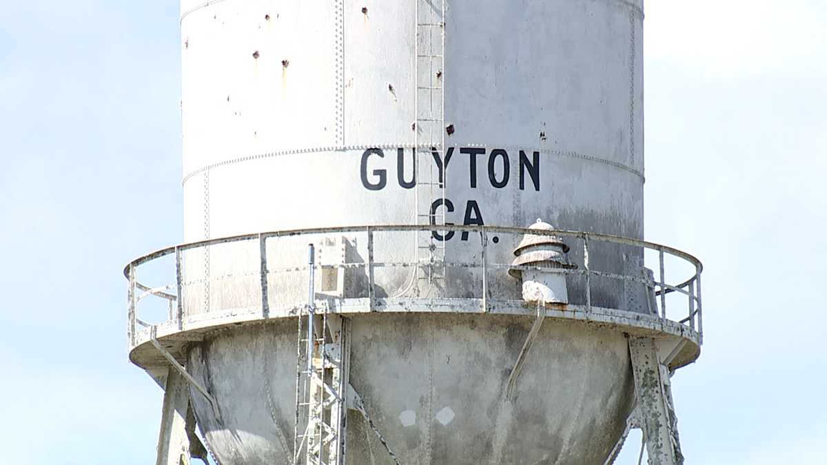 Meet the candidates running in Guyton's mayoral race