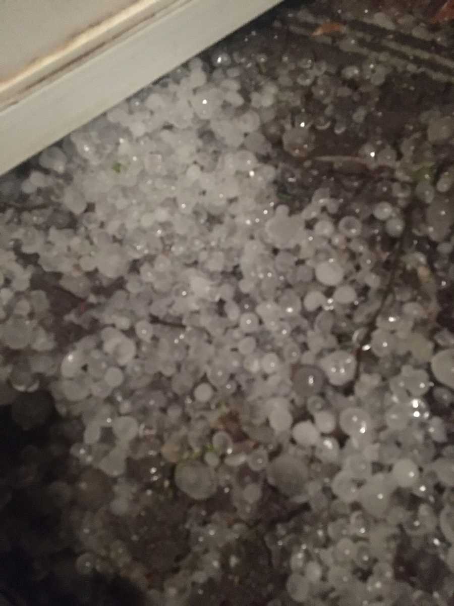 Photos/Video: Storms damage buildings, rip down trees, produce hail