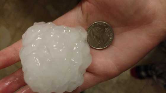 Gallery: Viewers share pictures of hail, damage caused by Thursday's ...