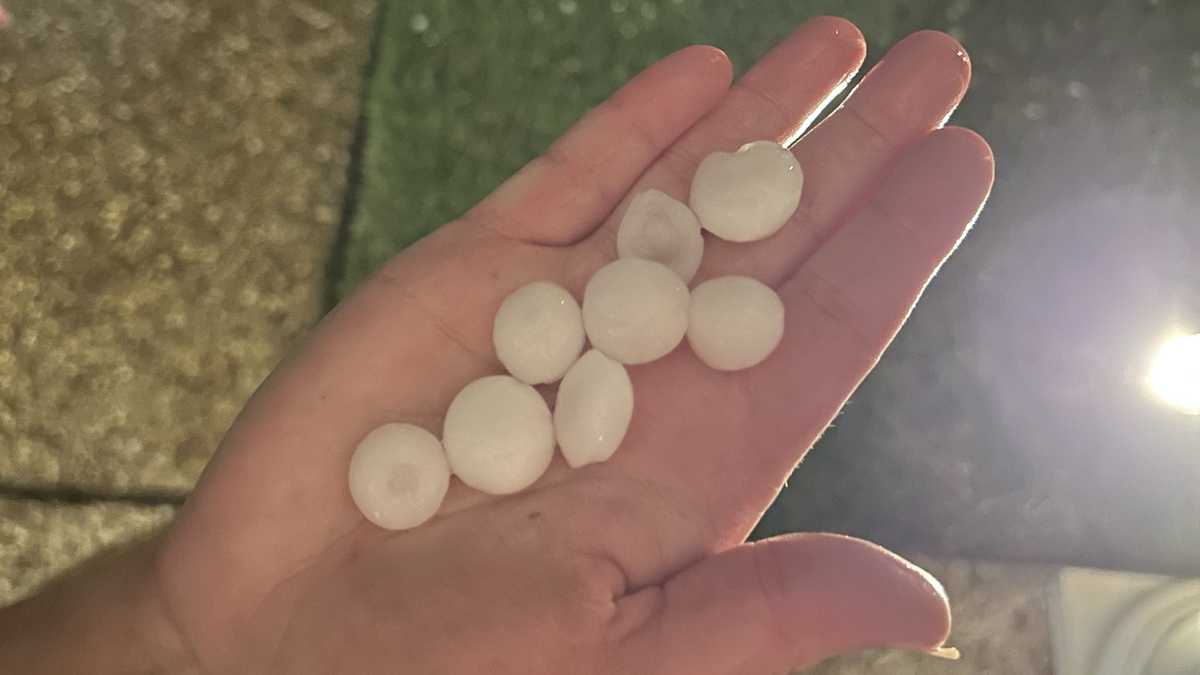 16 WAPT viewers share hail photos