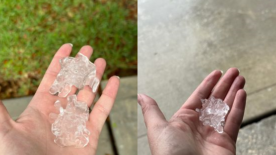 Florida slammed with hail and high wind during severe storms