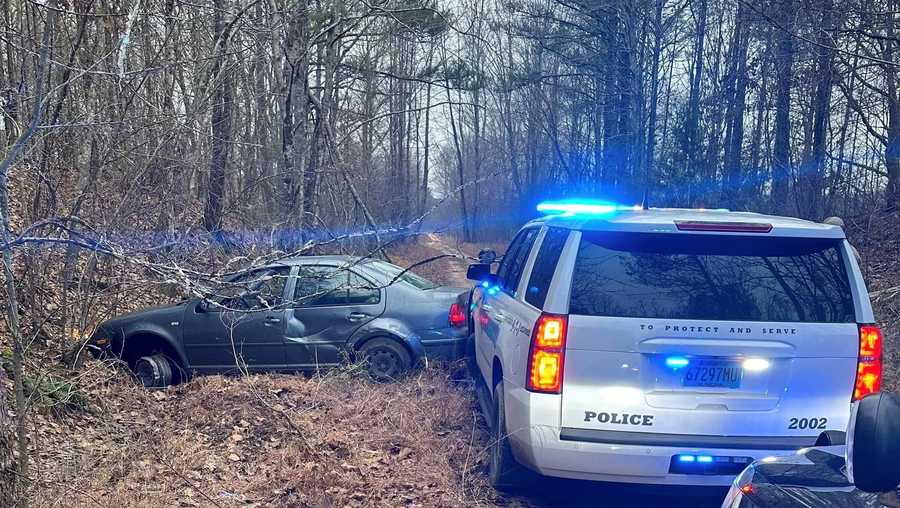 Officers use tire deflation device to stop Alabama man in multi-county ...