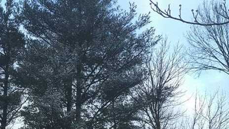 PHOTOS: Round of heavy snow blankets Tri-State area