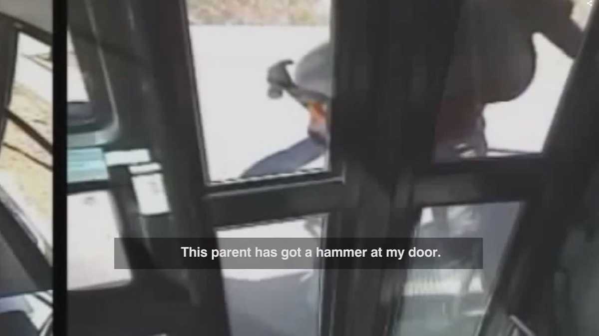 Wild video: Woman smashes school bus window with hammer as kids scream
