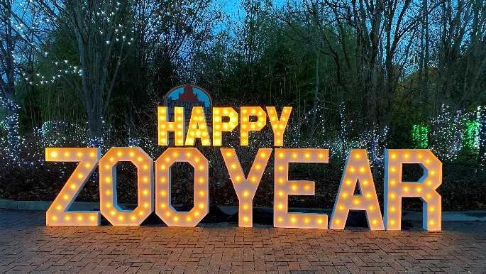 Cincinnati Zoo hosting family-friendly celebration for New Year’s Eve