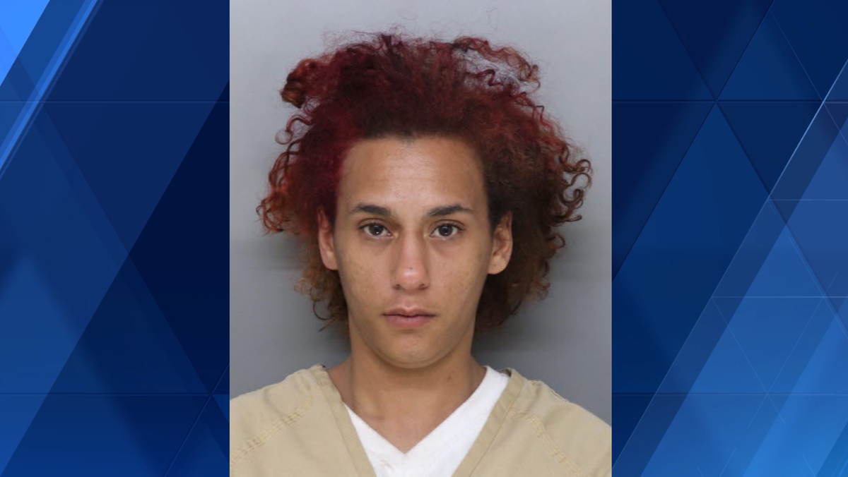 Mother faces kidnapping charges after taking 2 kids without custody