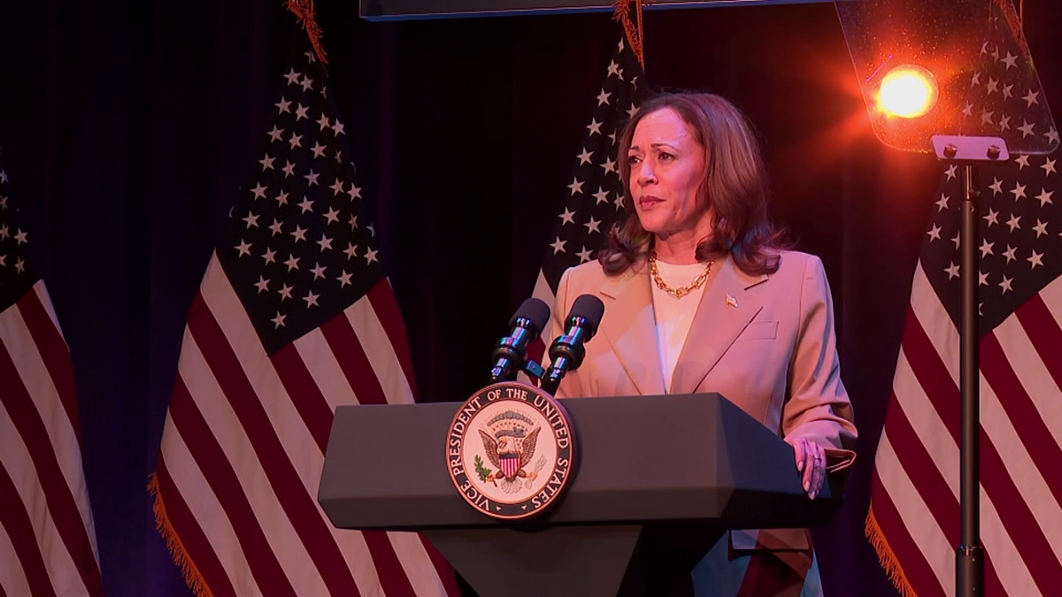 Political analysts examine Harris' rise to top of Democratic ticket