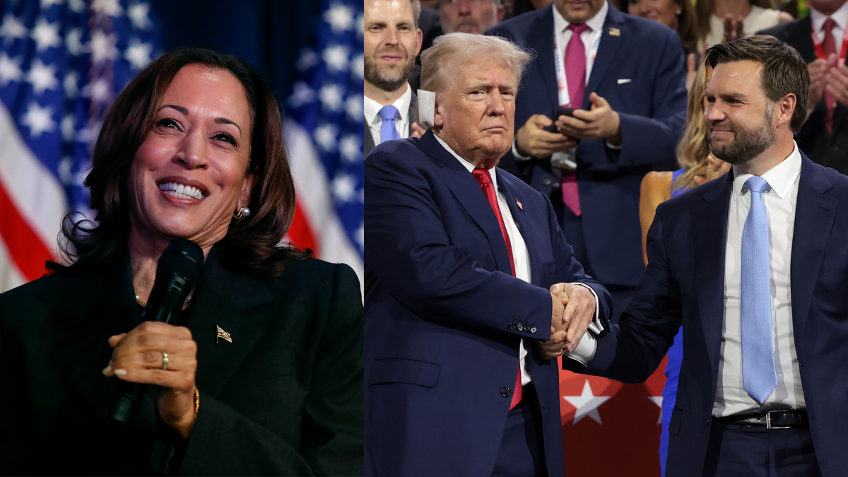 Professor looks at Harris' early push, challenges for Trump-Vance