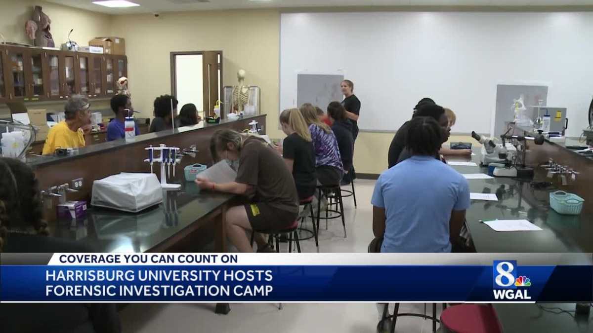 Hands-on forensic course teaches campers about crime scenes