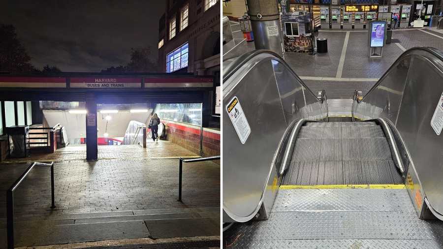 Crews rescue small dog trapped in escalator at MBTA station