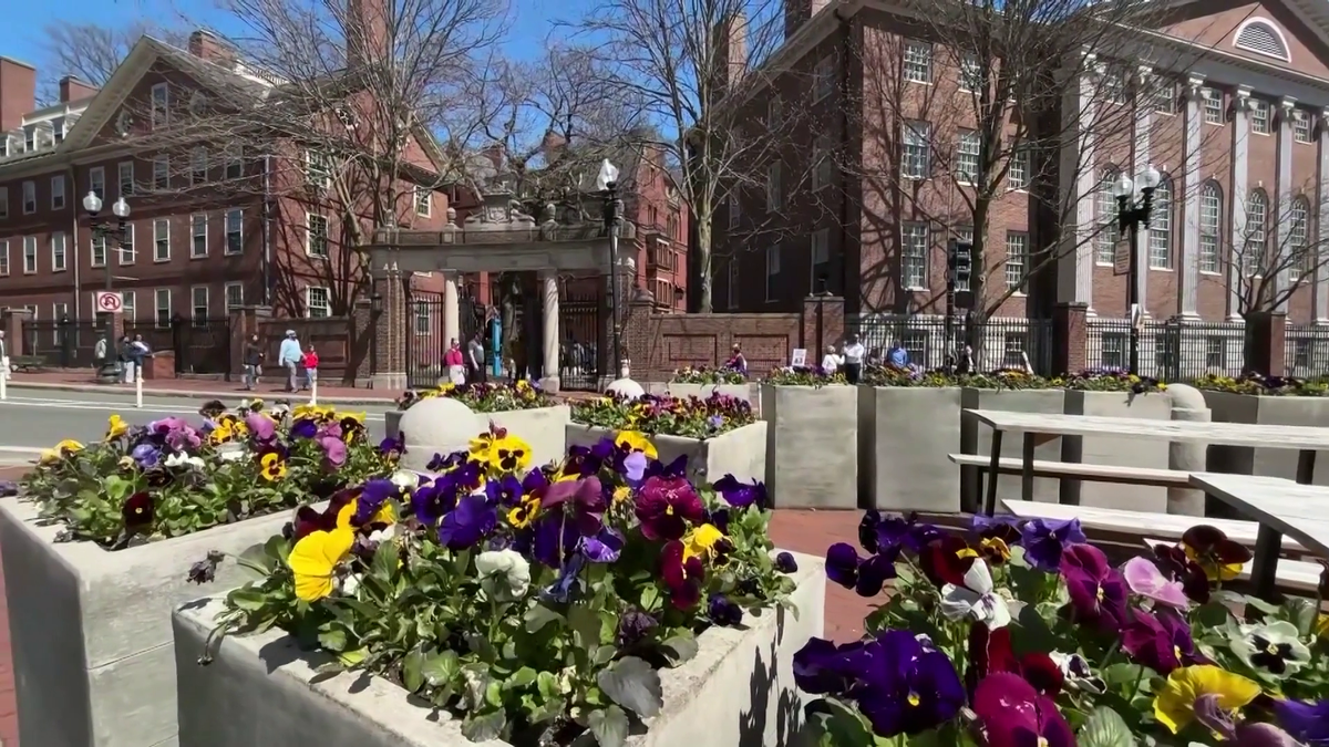 Harvard faculty pledge 10% of pay to support fight against Trump