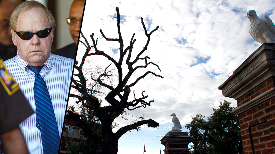 Alabama fan who poisoned Auburn trees increases restitution