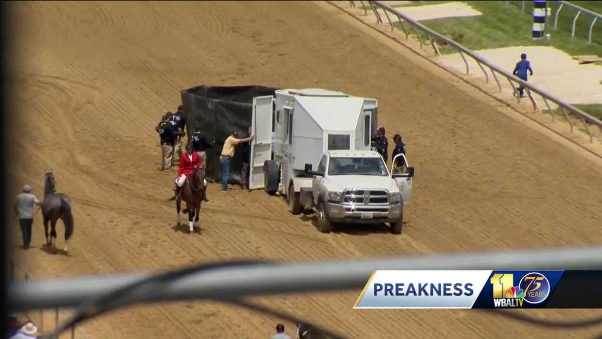 Horse trained by Bob Baffert euthanized after injury at Pimlico