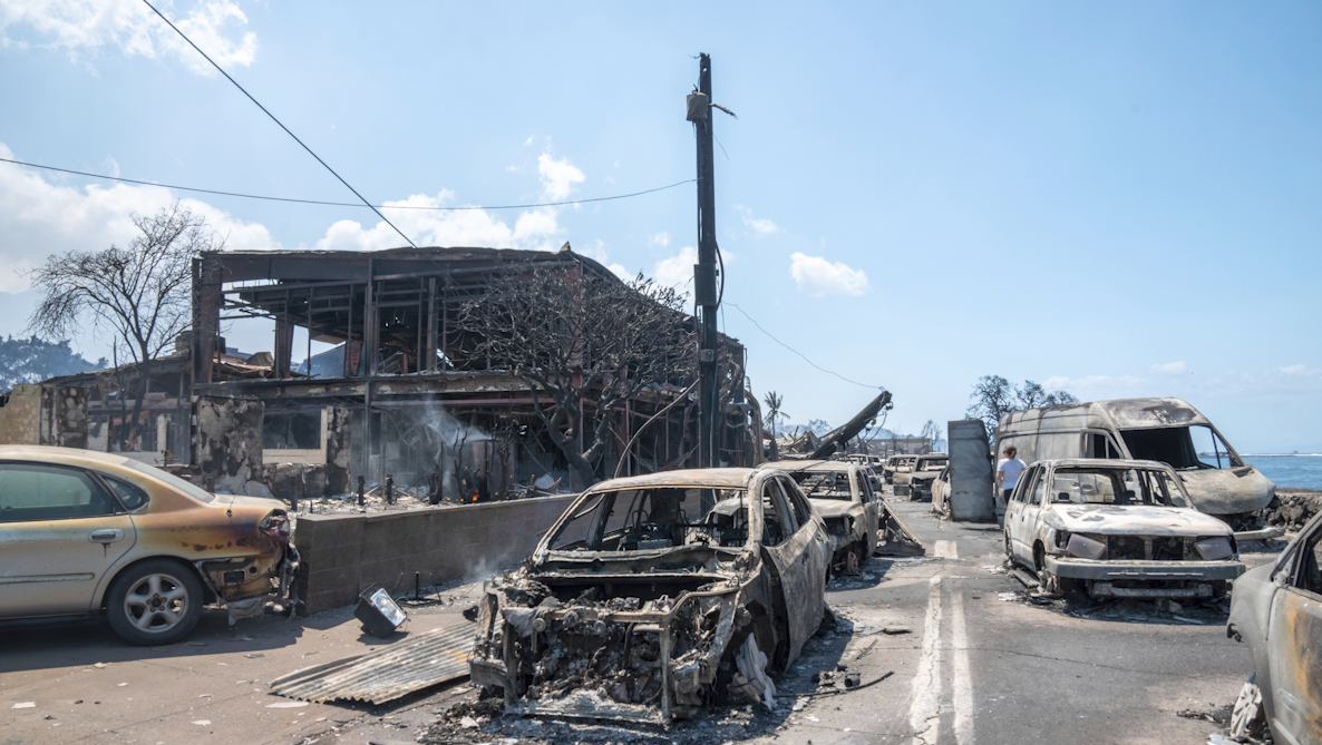 'Nothing left': Future unclear for Hawaii residents who lost it all in fire