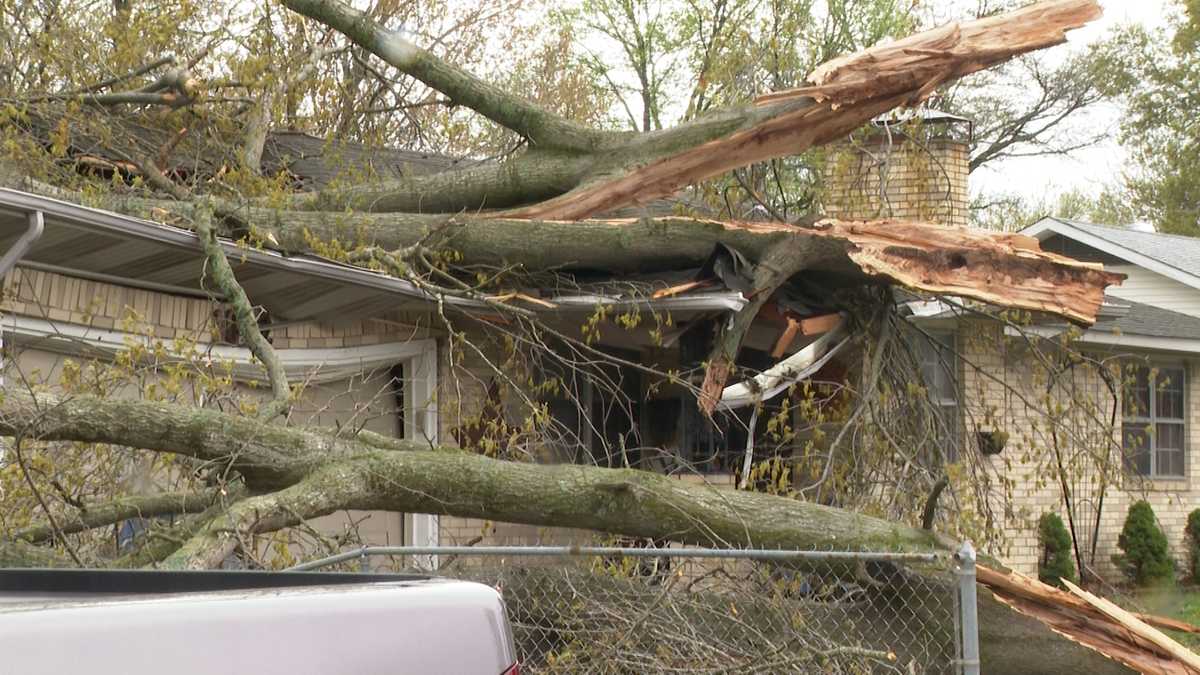 Pea Ridge woman left untouched after tree fell through her roof