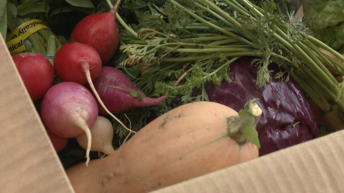 Agriculture Program Helps Local Farmers, Easy Produce Pick Up for Costumers