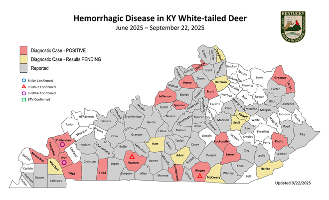 Hunters beware: Kentucky experiencing statewide disease outbreak in deer