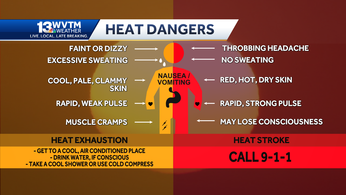 Excessive Heat: Why heat stress is severely dangerous