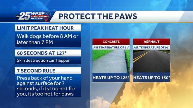 Summer Heat is here to stay, Keep the paws safe