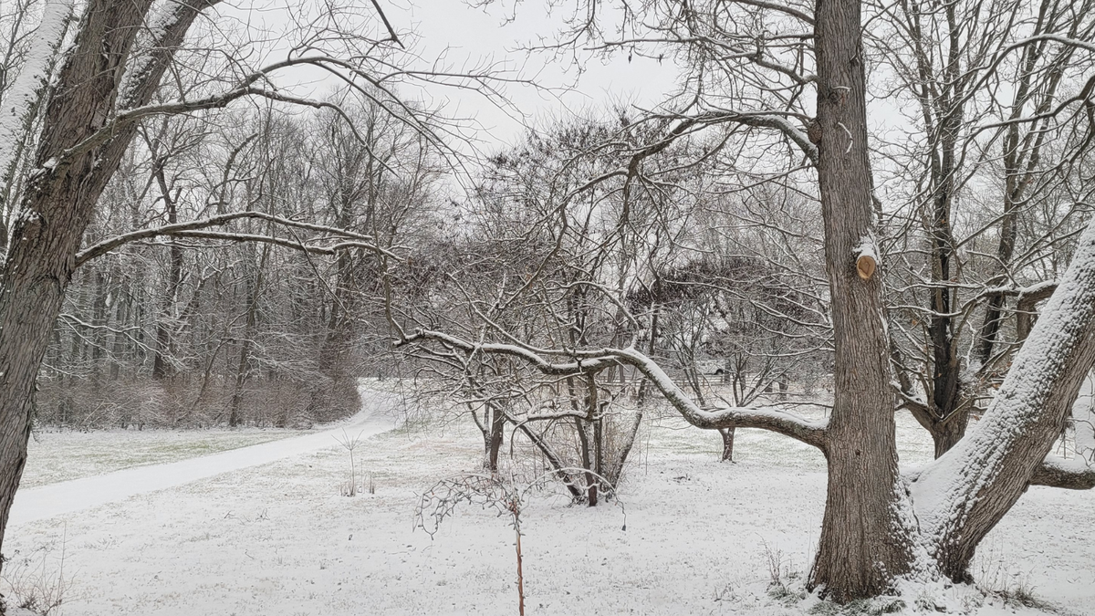 PHOTOS: Areas around Cincinnati see light snowfall Saturday