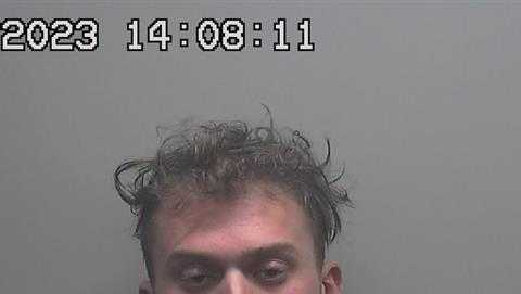 Sheboygan driver charged in crash that killed girl told police 'It's my ...