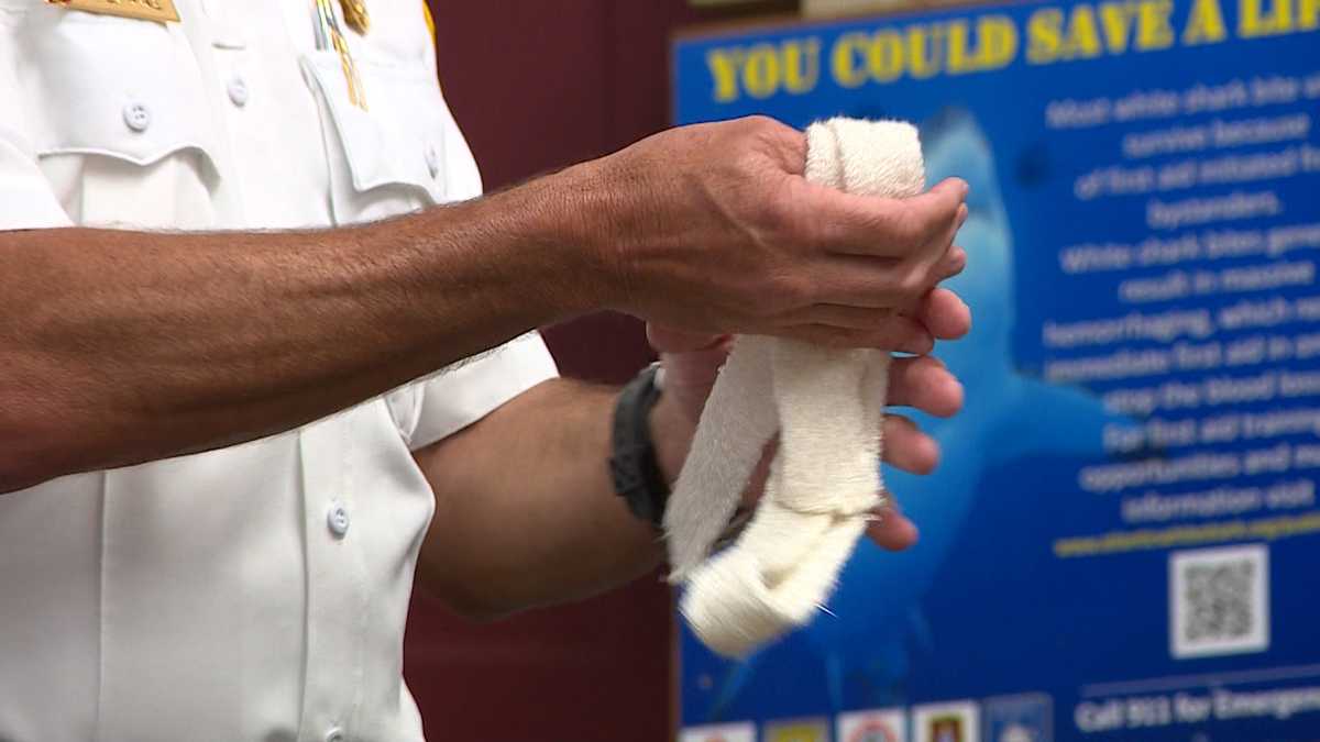 What's inside new shark safety kits on some Cape Cod beaches?