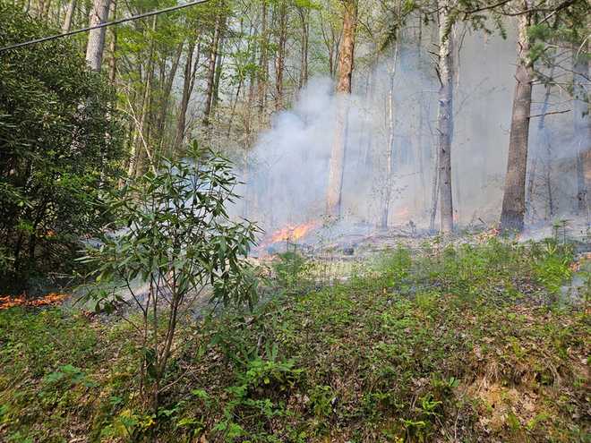 North Carolina: Brush fire contained in Hendersonville
