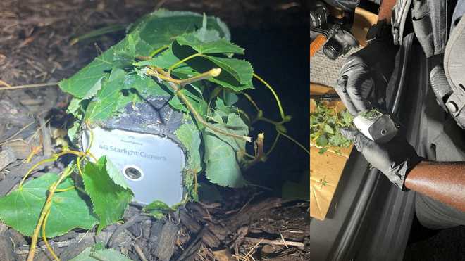 Hidden camera found in Mass. woods connected to theft group, police say