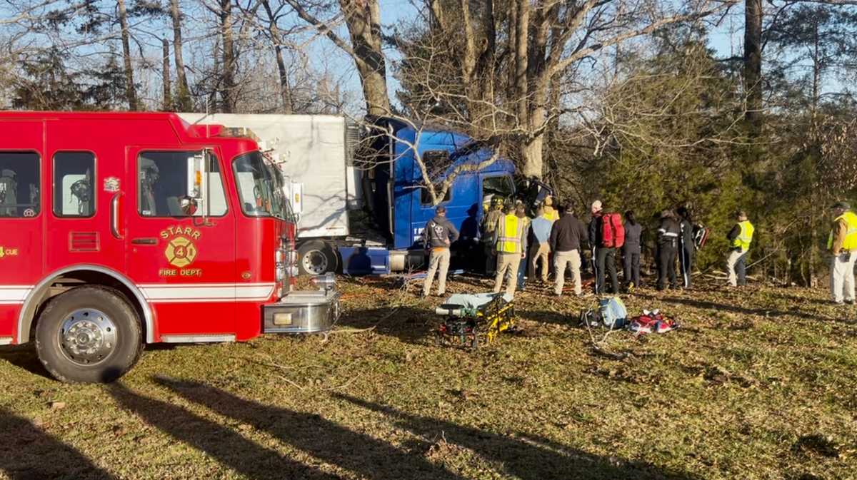 Driver injured when tractor-trailer hits tree along Upstate highway