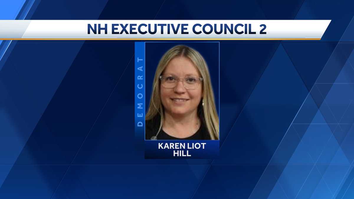 New Hampshire Executive Council District 2 election results 2024