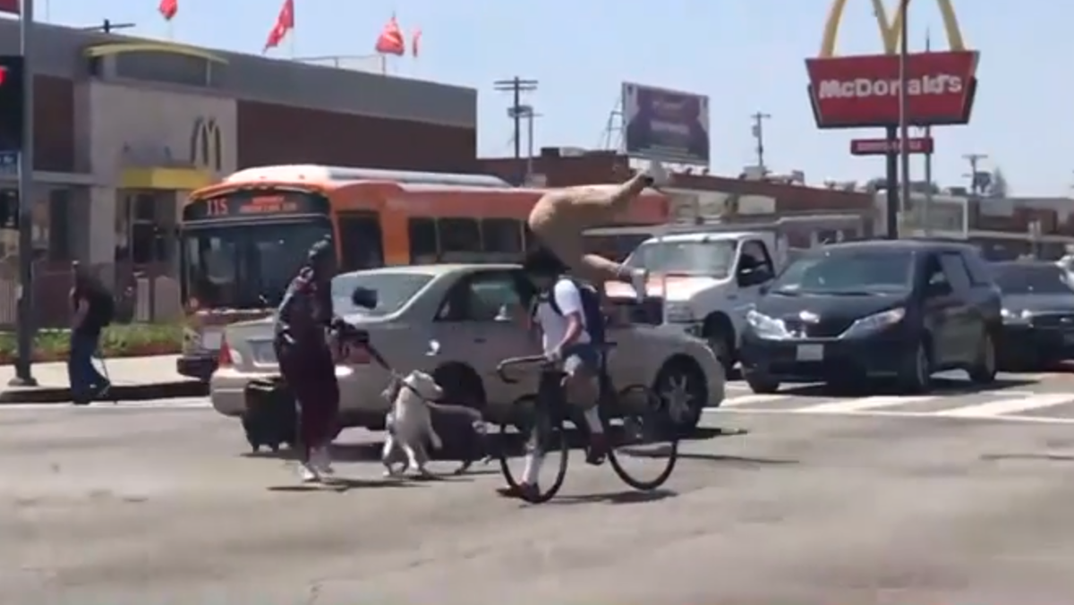 Graphic Video Shows Man Struck By Hit And Run Driver During Vigil For