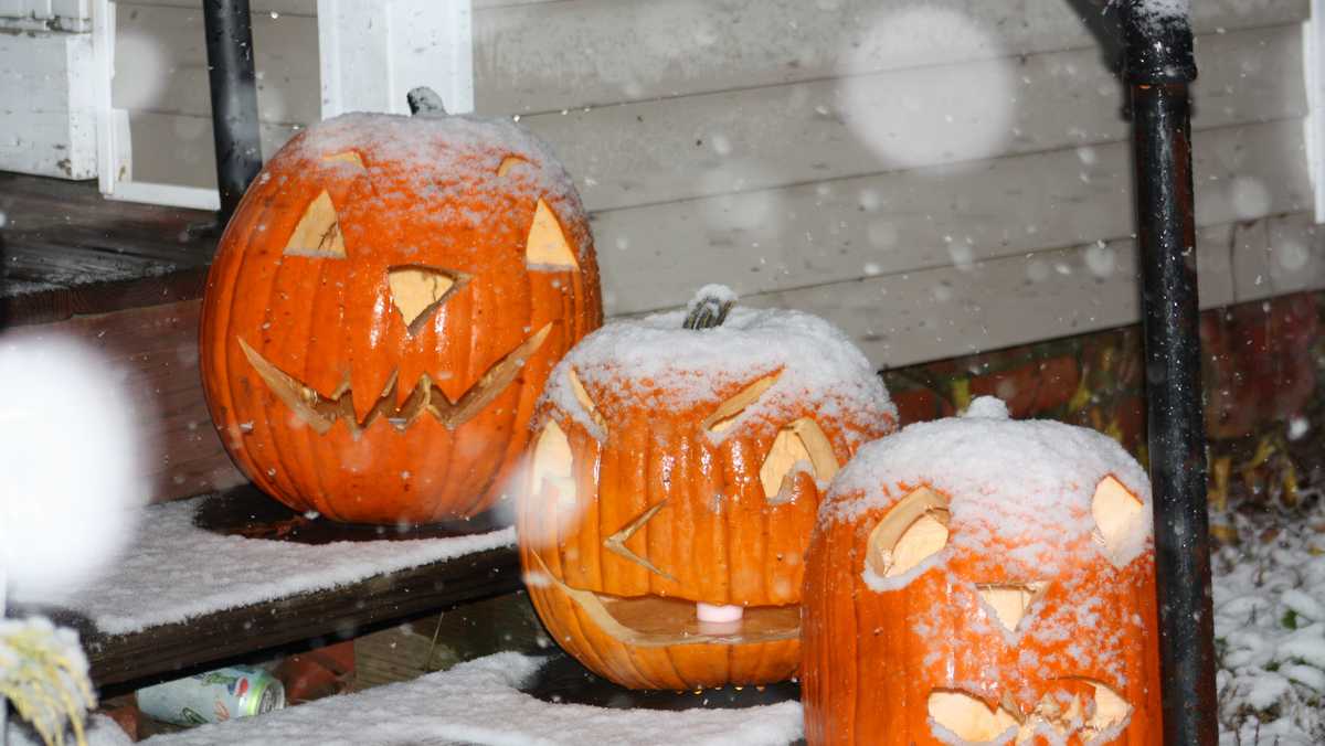 Photos: The Halloween snowstorm - Snowtober 2011