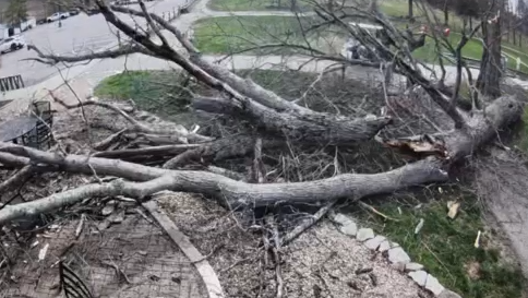 WATCH: Gusty winds topple tree in front of group at Hocking Hills Golf ...