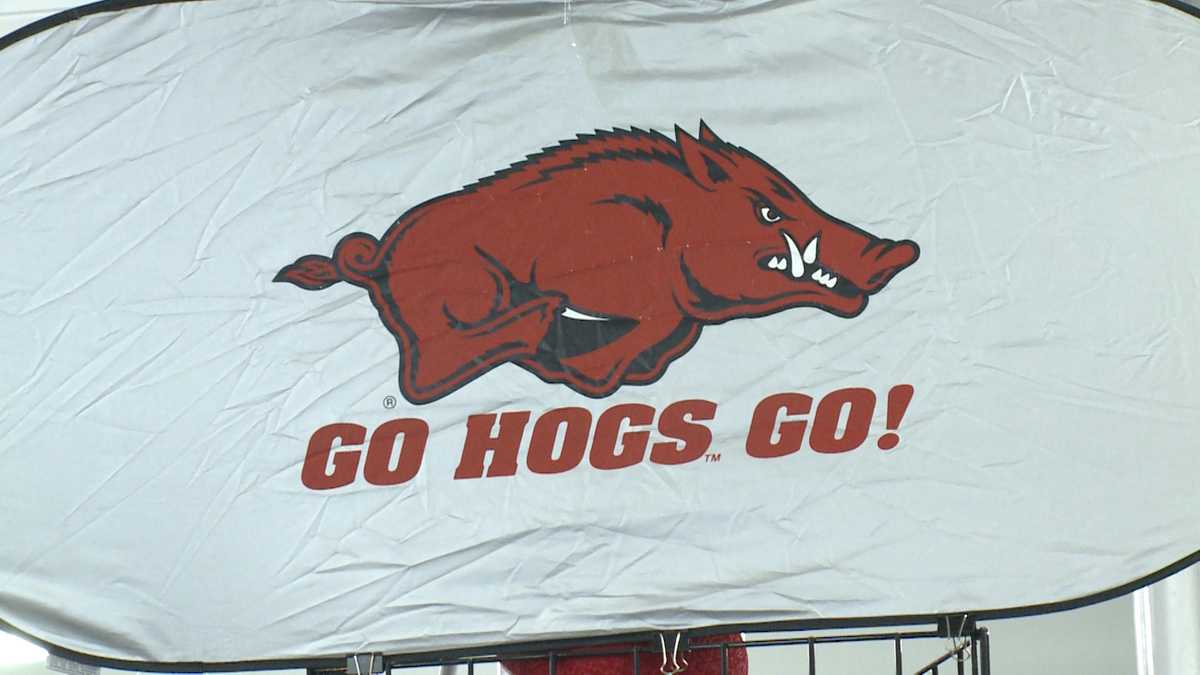 Hogs staying alive in the College World Series