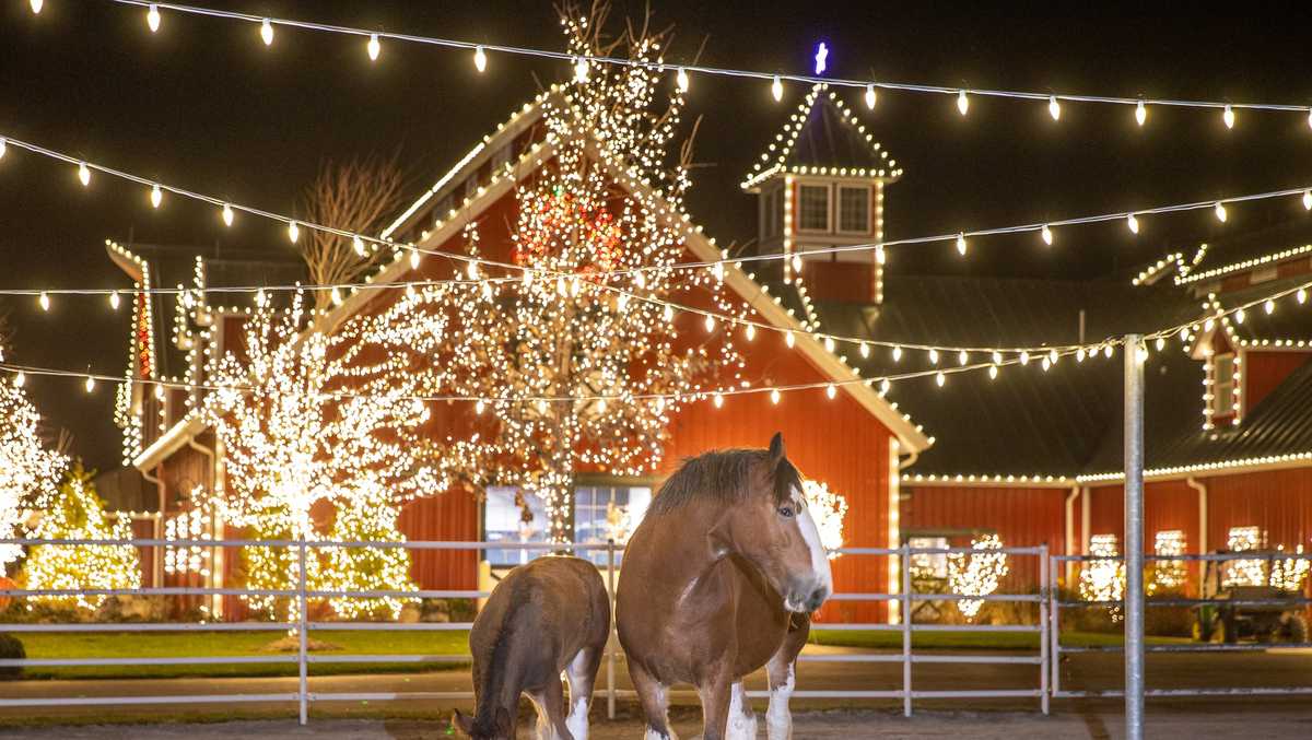 Celebrate holidays with the Budweiser Clydesdales at Warm Springs Ranch