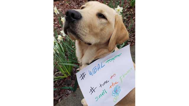 We're #WBALTogether