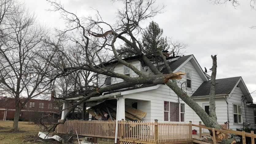 High winds topple trees, damage homes throughout Greater Cincinnati