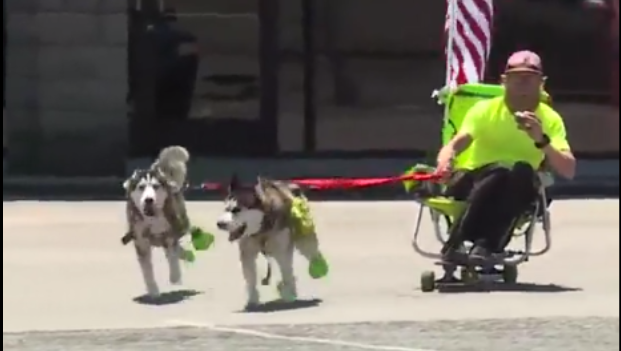 Homeless man on cross-country, urban dog sled journey makes stop in Alabama