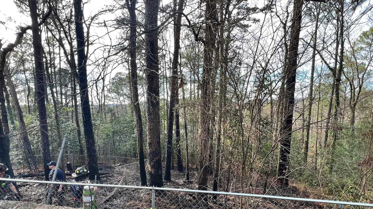 GALLERY: Alabama firefighters battle multiple major brush fires