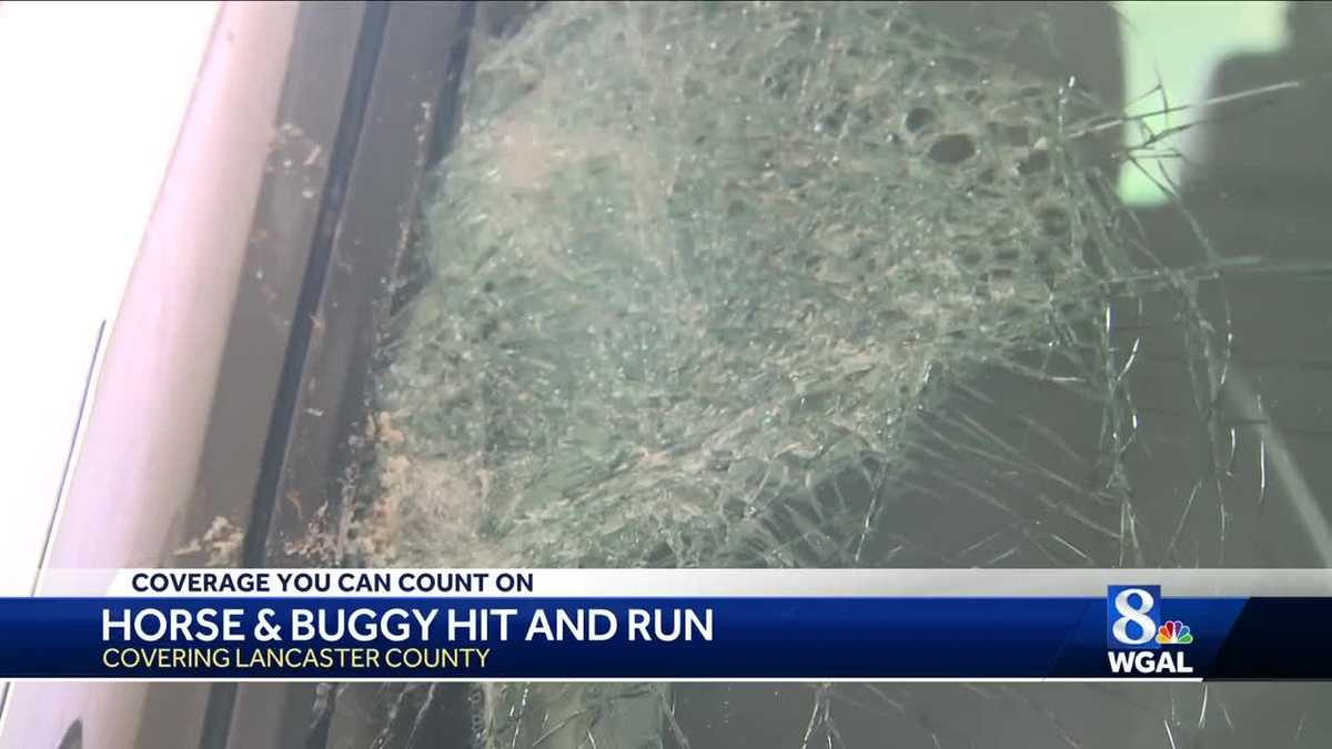 State police looking for hit-and-run horse and buggy driver