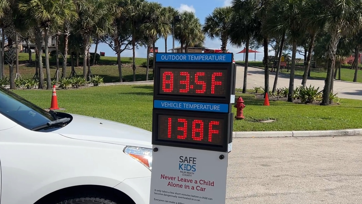 Hot Car Death Prevention Month in Florida: Tips to help you always ...