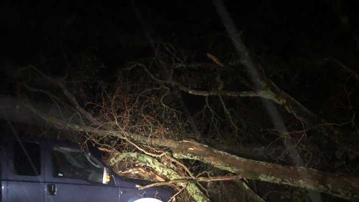 PHOTOS: Storms leave trail of widespread damage across the region