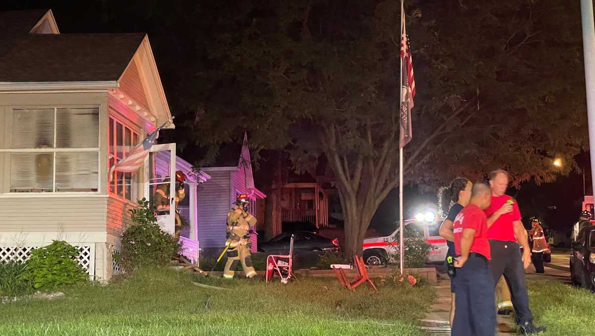 Firefighters rescue dog from house fire