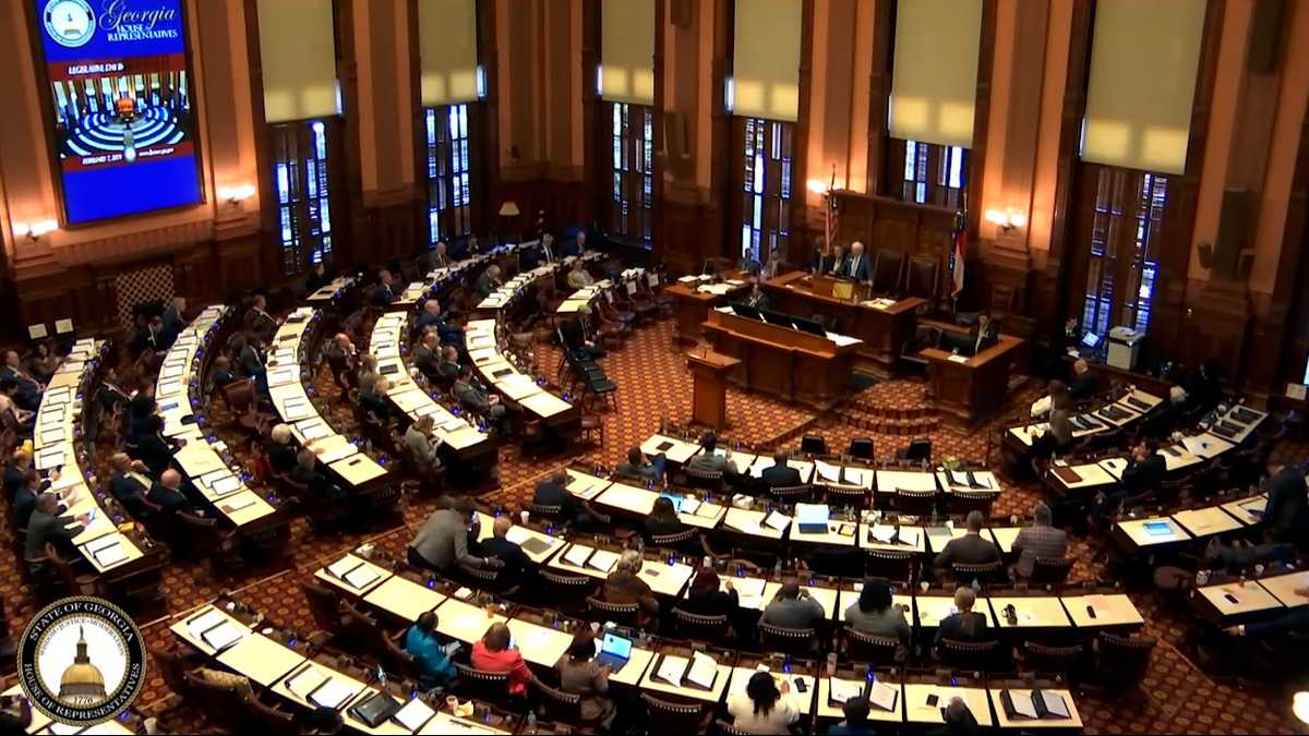 Georgia House of Representatives pass the midyear budget