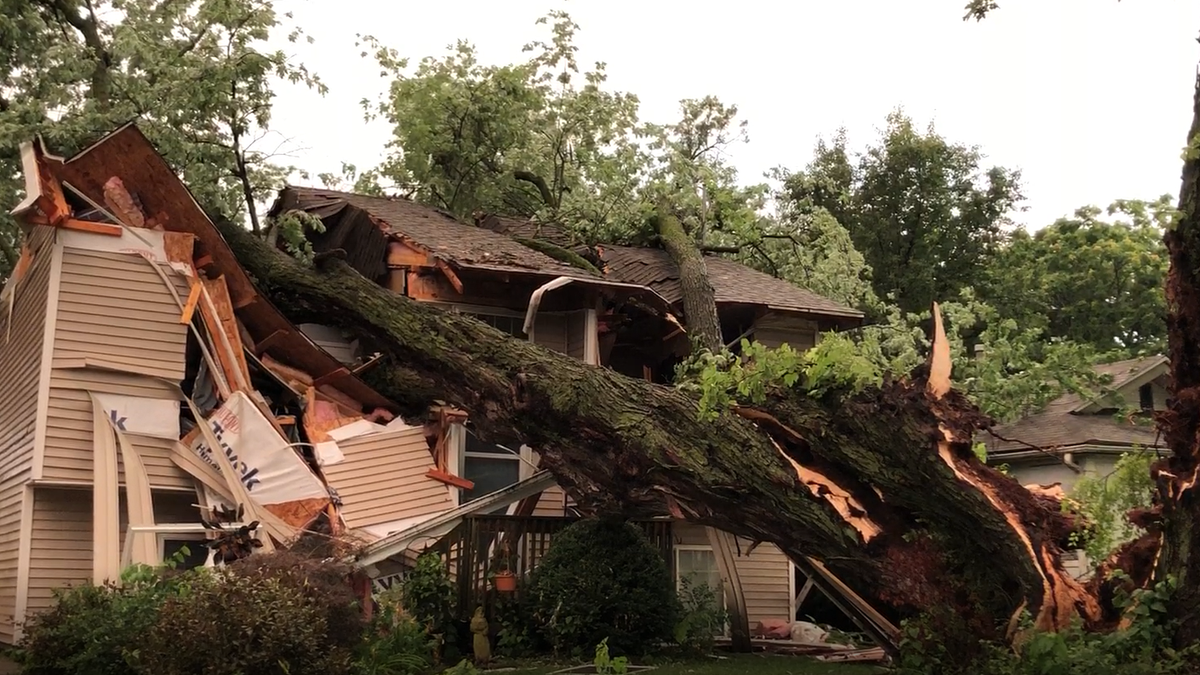 PHOTOS: Severe thunderstorms leaves damage across the metro