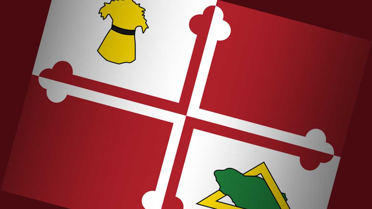 Howard County officials seek to modernize flag