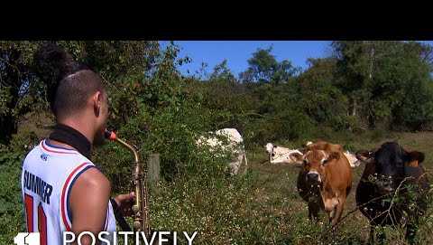 Saxl Rose plays for cows, shows music is for all | Positively Baltimore